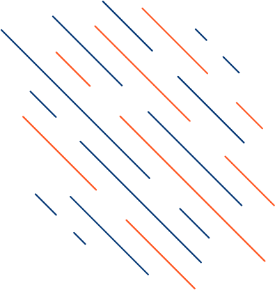 Executive Committee – BDMAI